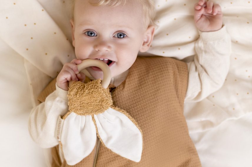 Comment choisir la sucette de bébé ? - Blog L'Armoire de Bébé